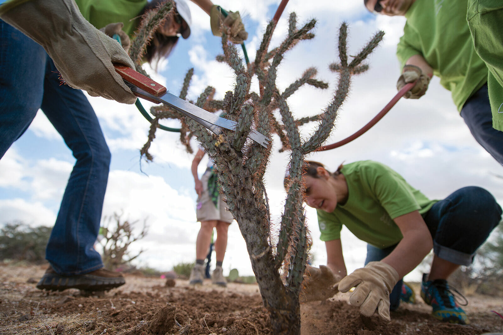 Most Admired Companies of 2021: Vanguard - AZ Big Media
