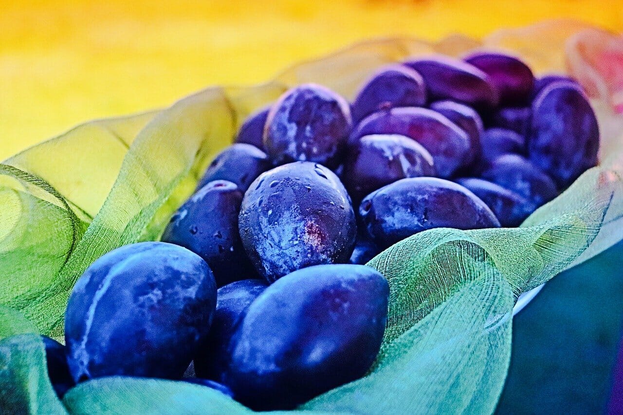 Power of prunes: How to cut holiday weight - AZ Big Media