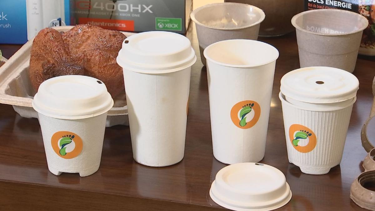 Footprint rolls out line of plant-based containers for supermarkets ...