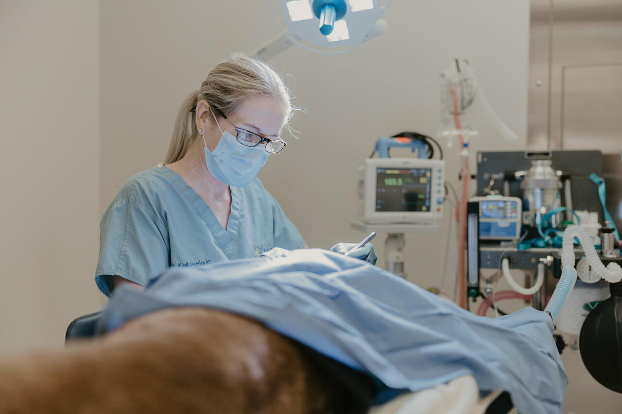 Phoenix-based Dr. Kelly’s Surgical Unit opens new location in Tucson ...