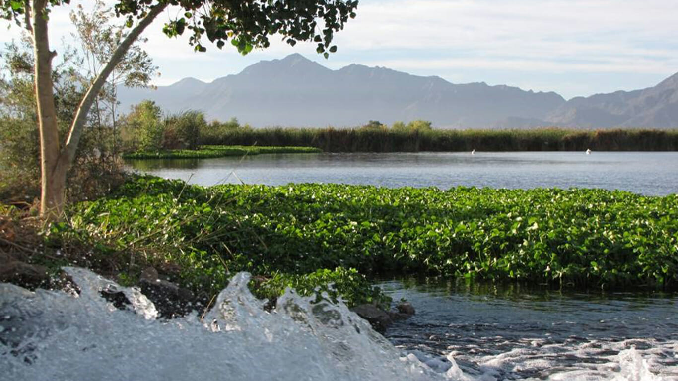 Phoenix river restoration projects bring ‘wide-ranging’ benefits ...